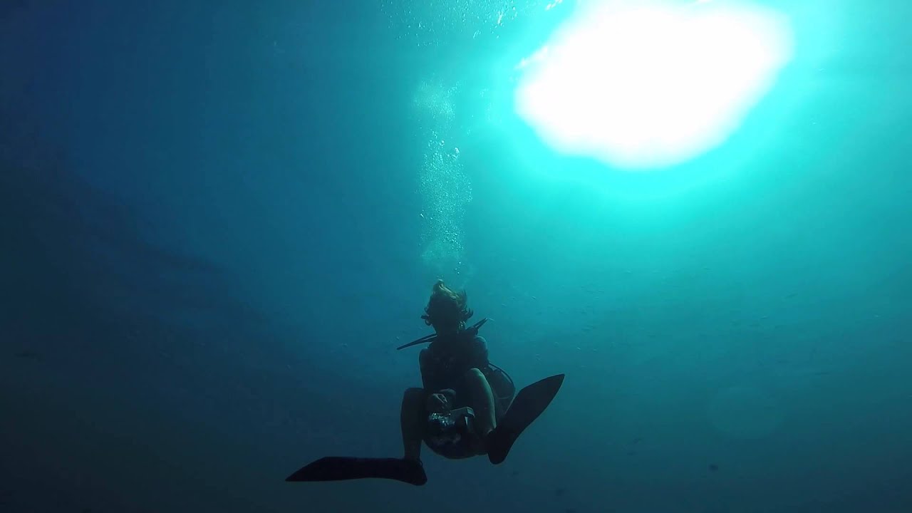 Good morning, good diving. - YouTube
