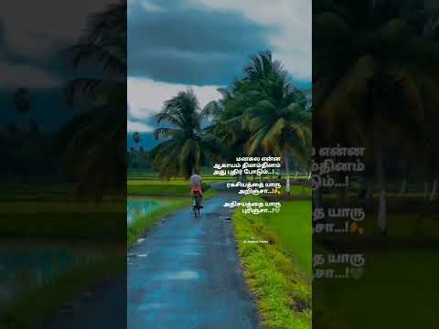 Elangaathu Veesudhey Solo Song Lyrics | WhatsApp Status Tamil | Tamil Lyrics Song | @Dreamzone43
