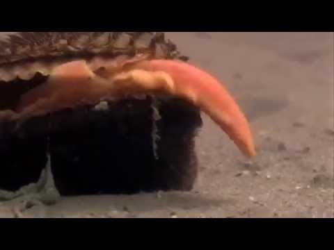 Time Zones 1 | Ocean Oddities - YouTube