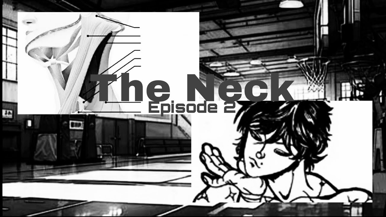 Do Neck exercises WORK?????!!!!!! - YouTube