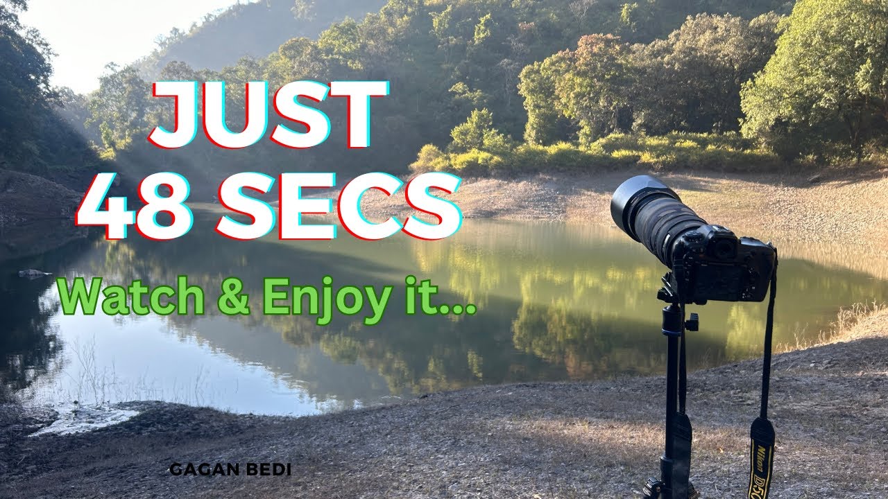 Enjoy 48 secs II Wildlife Short Video II Nikon D500 & 200-500 #wildlife ...