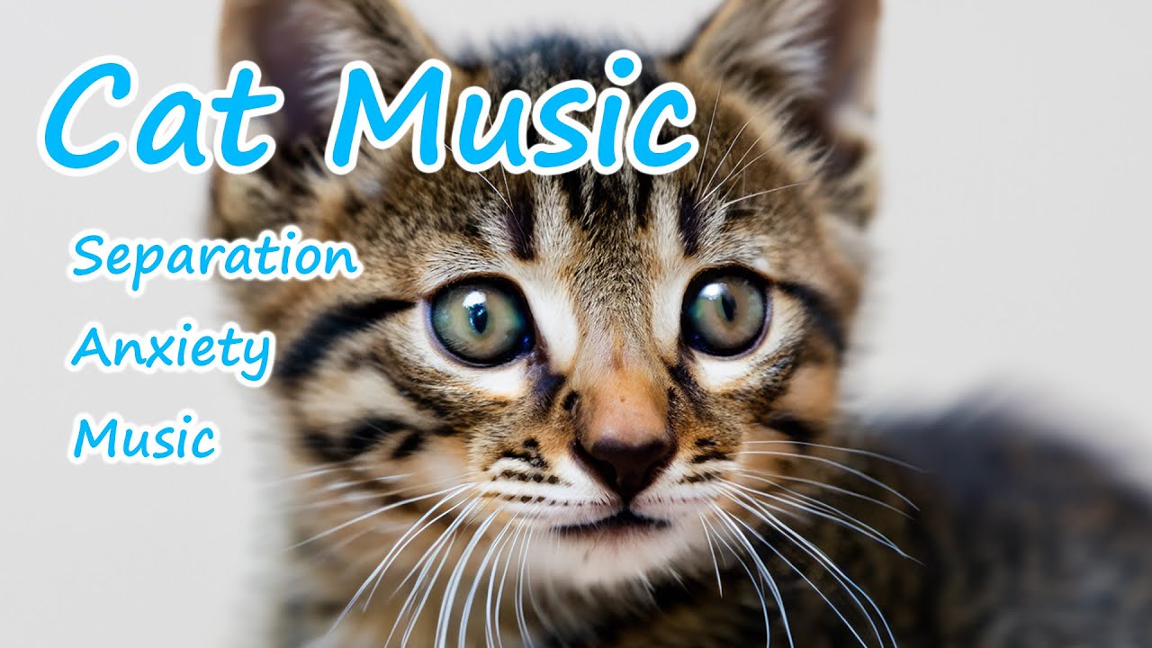 Music that cats love, sleep music for cats, stress relief music ...