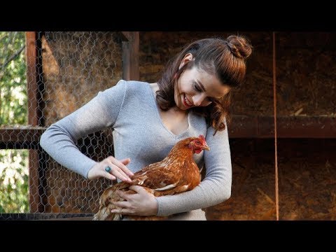Şevkat Yerimdar 26. Bölüm Yeni