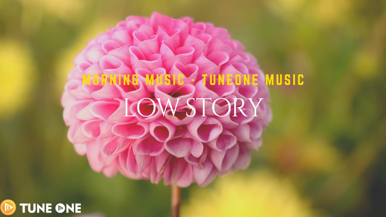 Low Story - Piano Relaxing Music - Meditation Music, Study, Calming ...