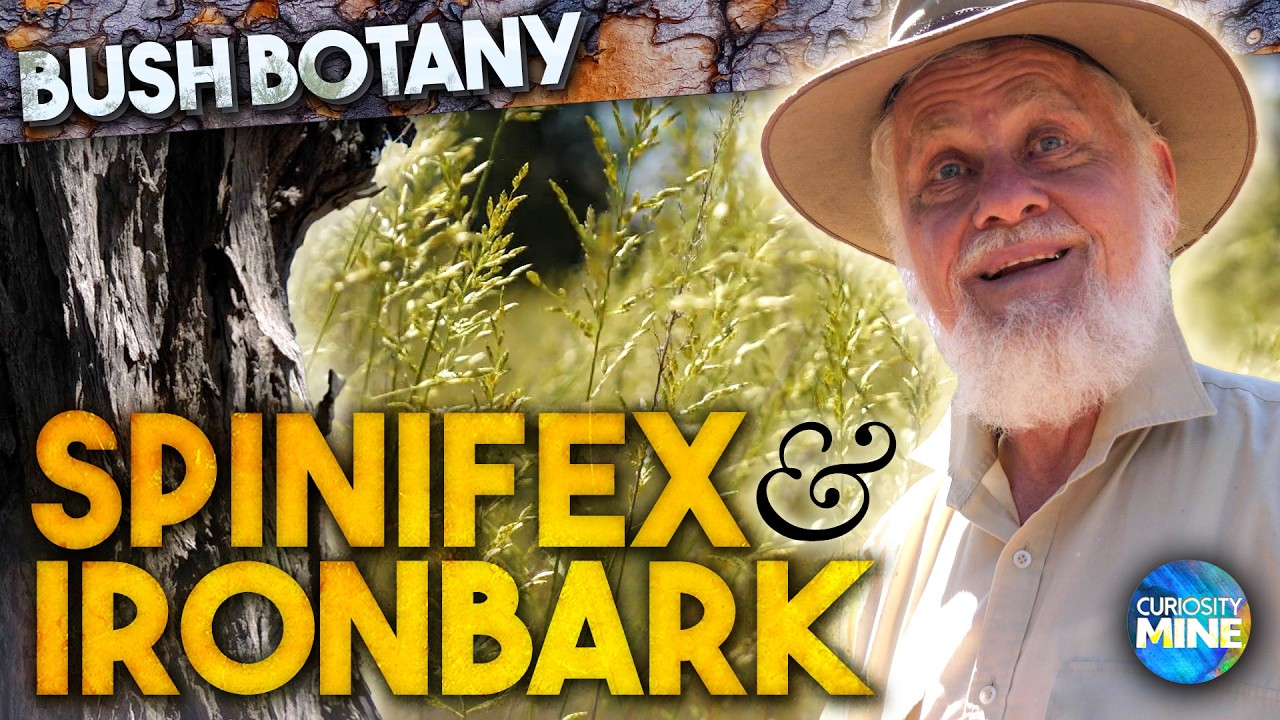 Spinifex & Ironbark & Quantum Physics - Bush Botany @ Lightning Ridge ...