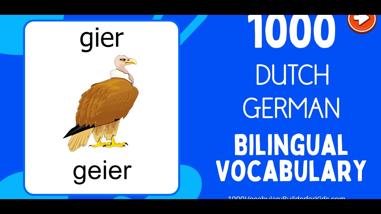 1000 Dutch German Bilingual Vocabulary - YouTube