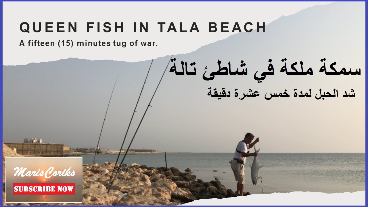 Fishing. Queen fish in Tala Beach, Azizia Al Khobar اسماك وصيد الاسماك ...