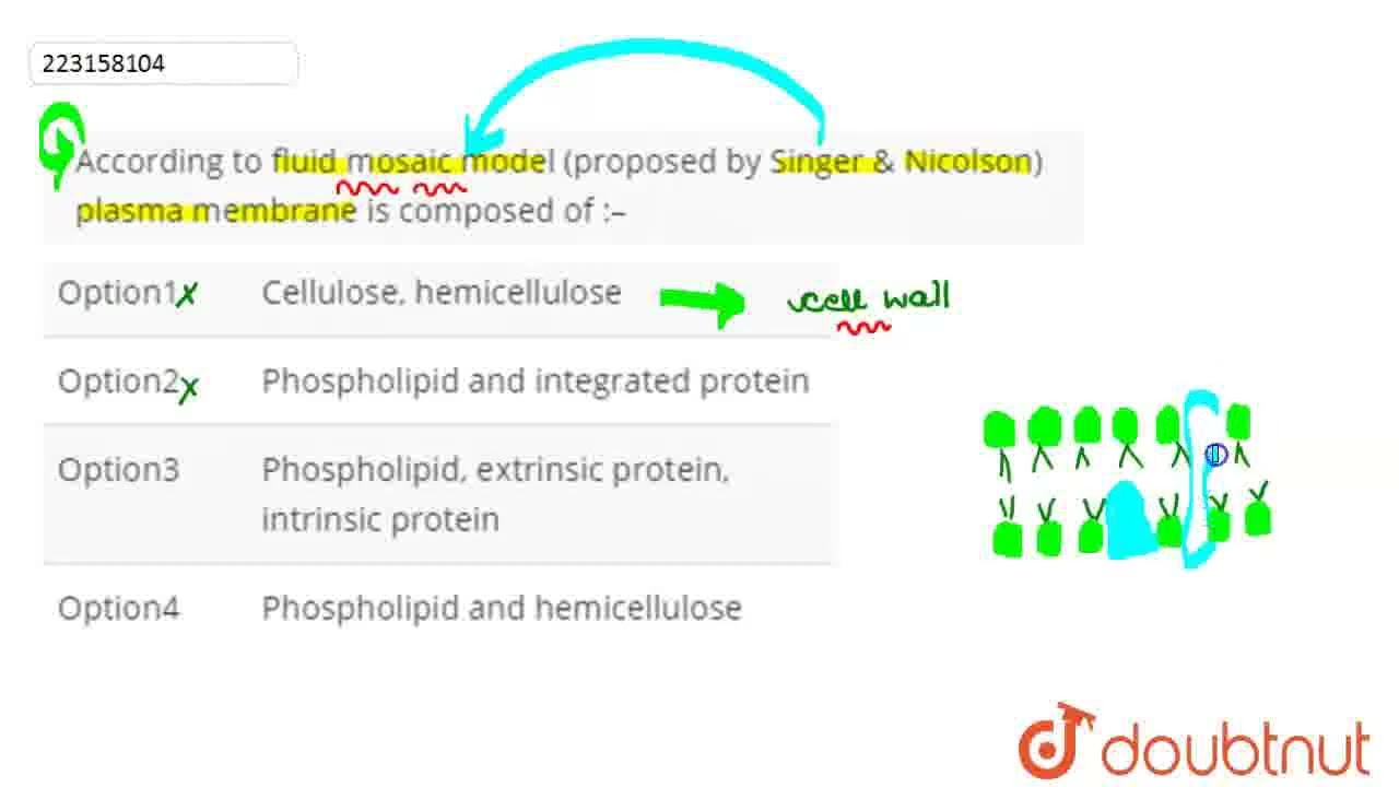 According to fluid mosaic model (proposed by Singer & Nicolson) plasma ...