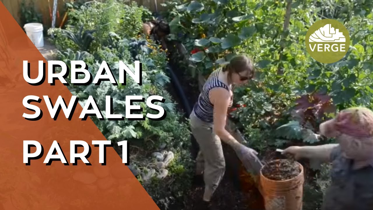 Urban Swales: Construction with Weeping Tile & Mulch ~ Hugelkultur (pt1 ...