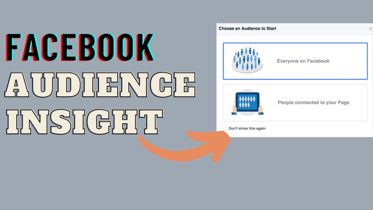 13-How to Use Facebook Audience Insight 2022 |Facebook Audience Insight ...