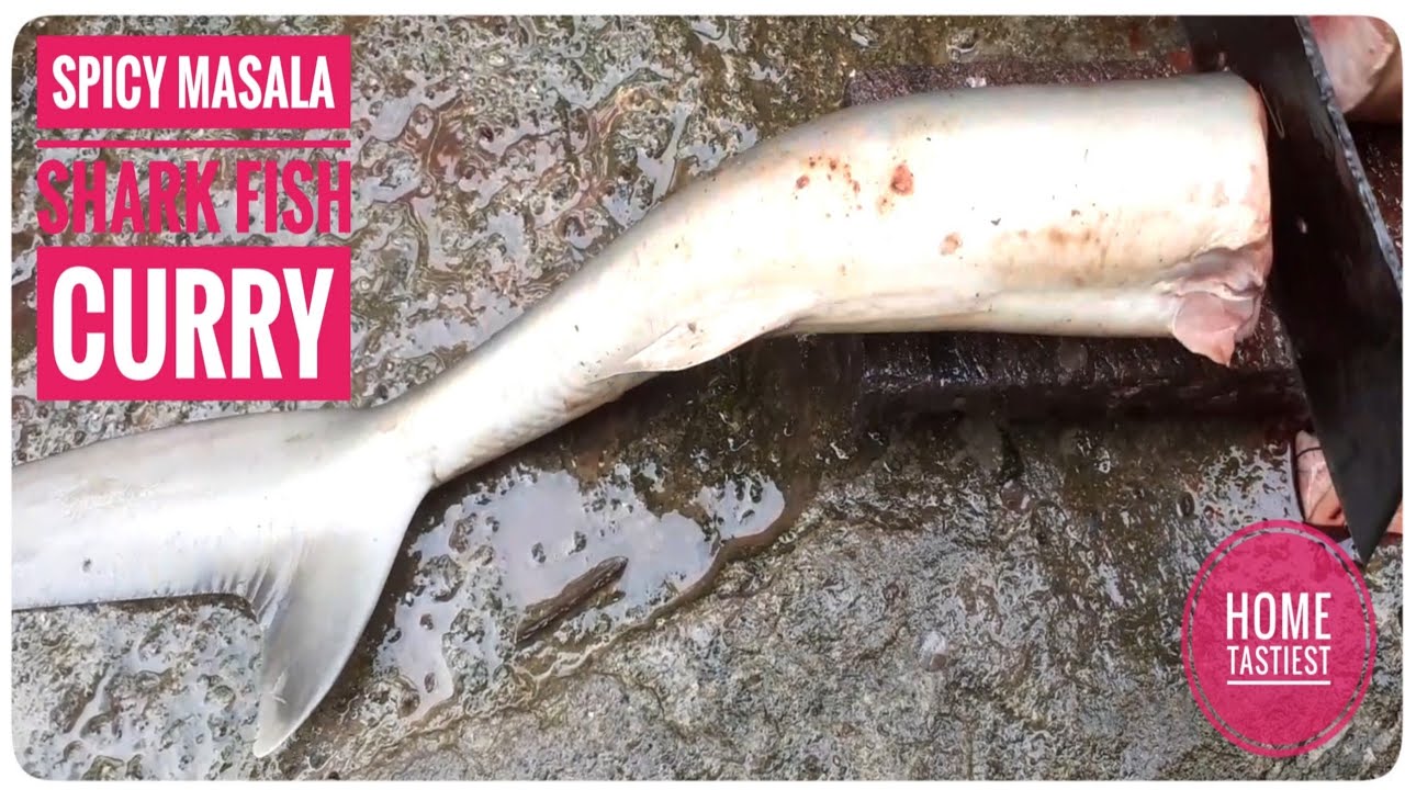 Amazing Spicy Masala Shark Fish Curry | masala fish recipe | fish curry ...