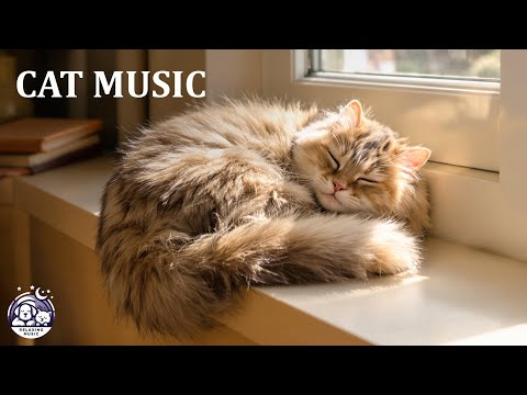 Cat Relaxing Music🌙 Anti Separation Anxiety Relief🎵 Soft Piano & Purring Sounds for Deep Sleep 🐱