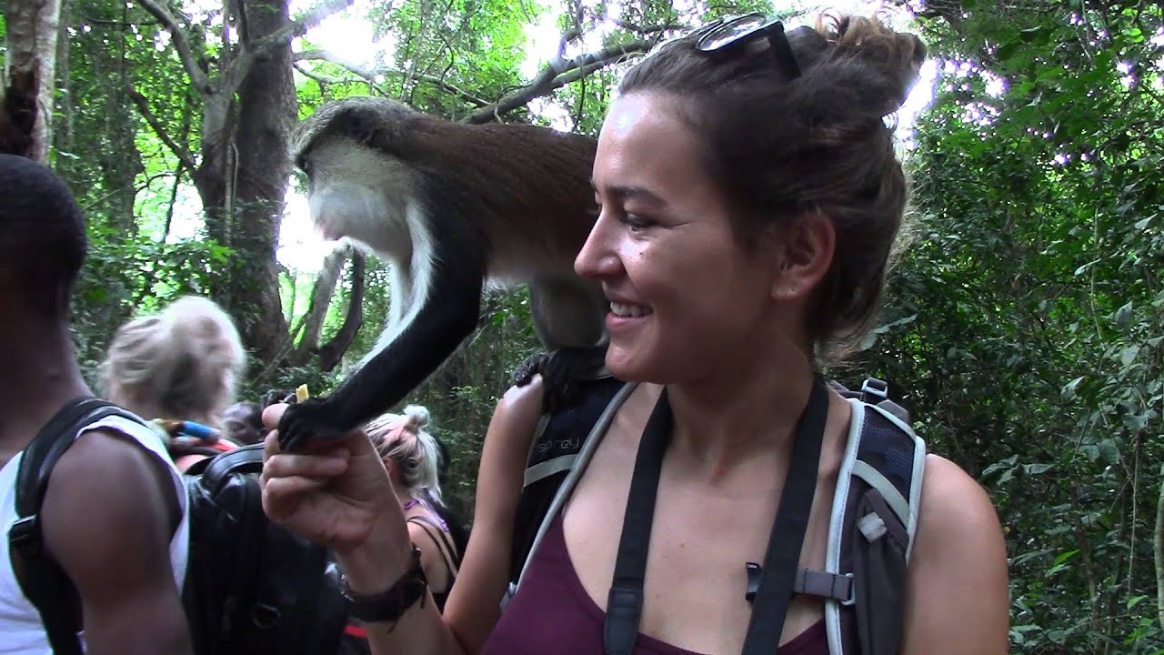 MPR - Adaklu Waya Lattitude Global Volunteering ICS - YouTube