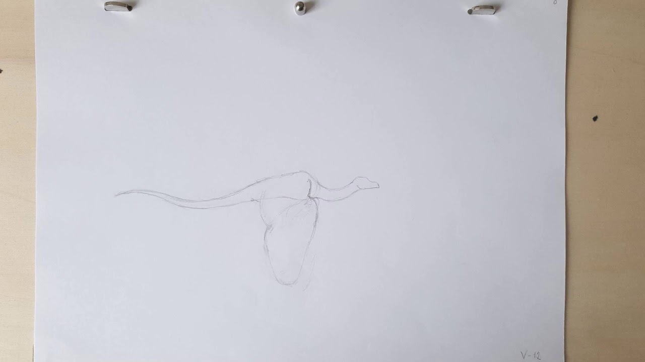 Bird fly cycle - YouTube