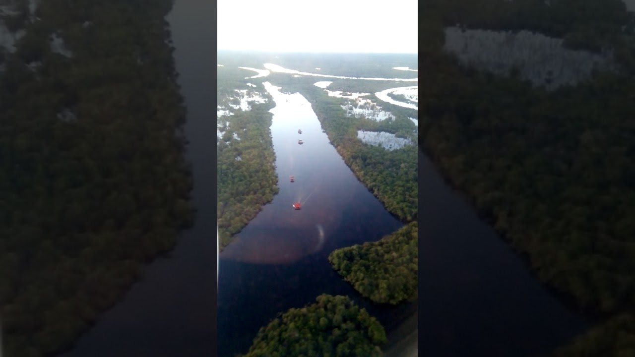 vista del Amazona desde el avion - YouTube