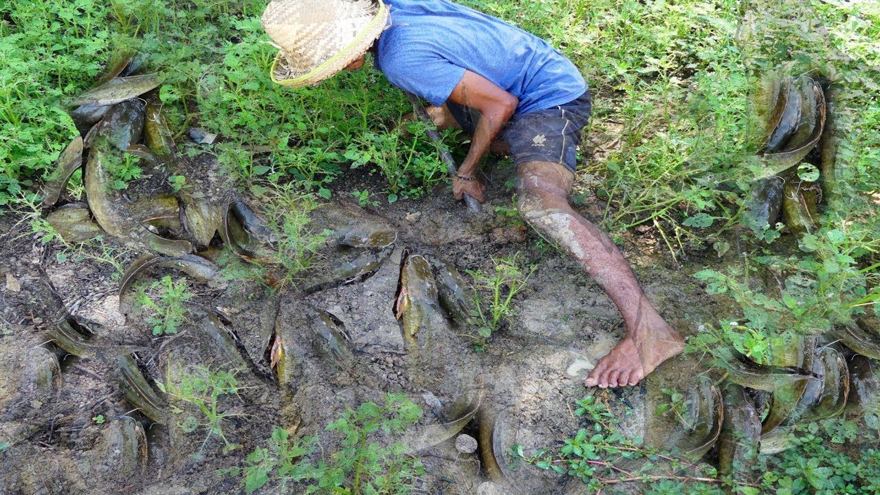 Trip Fish Hot bank fishing Weather underland hole bass fishing skills ...