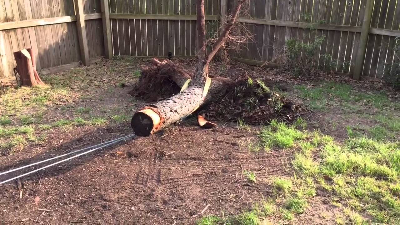 Stump pulling part 2 - YouTube