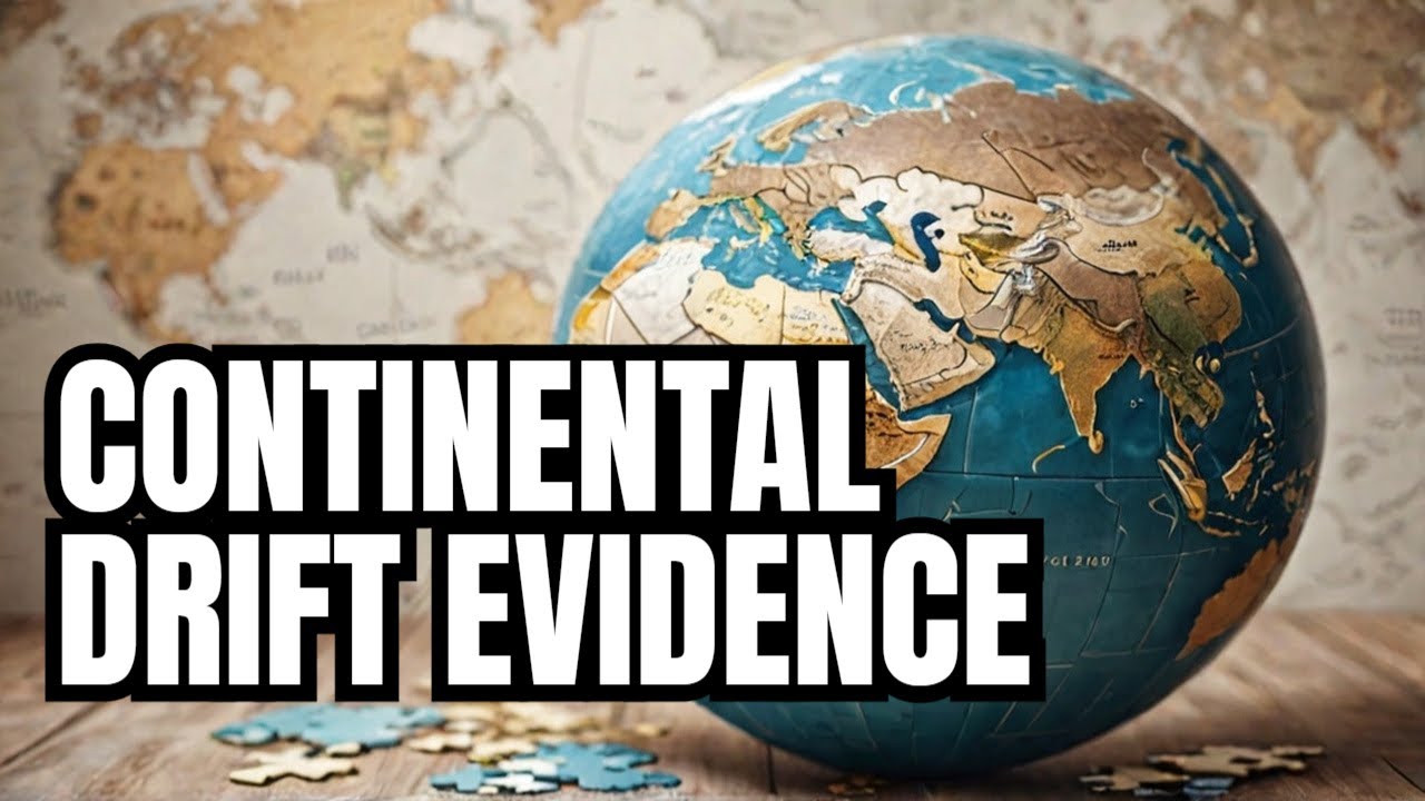 Unveiling Alfred Wegener's Evidence for Continental Drift 🌍🔍 - YouTube