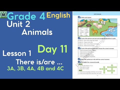 Grade 4 English Unit 2 Lesson 1 | 3A, 3B, 4A, 4B and 4C | Day 11 ...