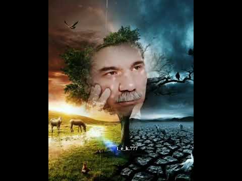 WhatsApp üçün yeni video və mahnı 2021 mp3 ‎@Novruz Heziyev 
