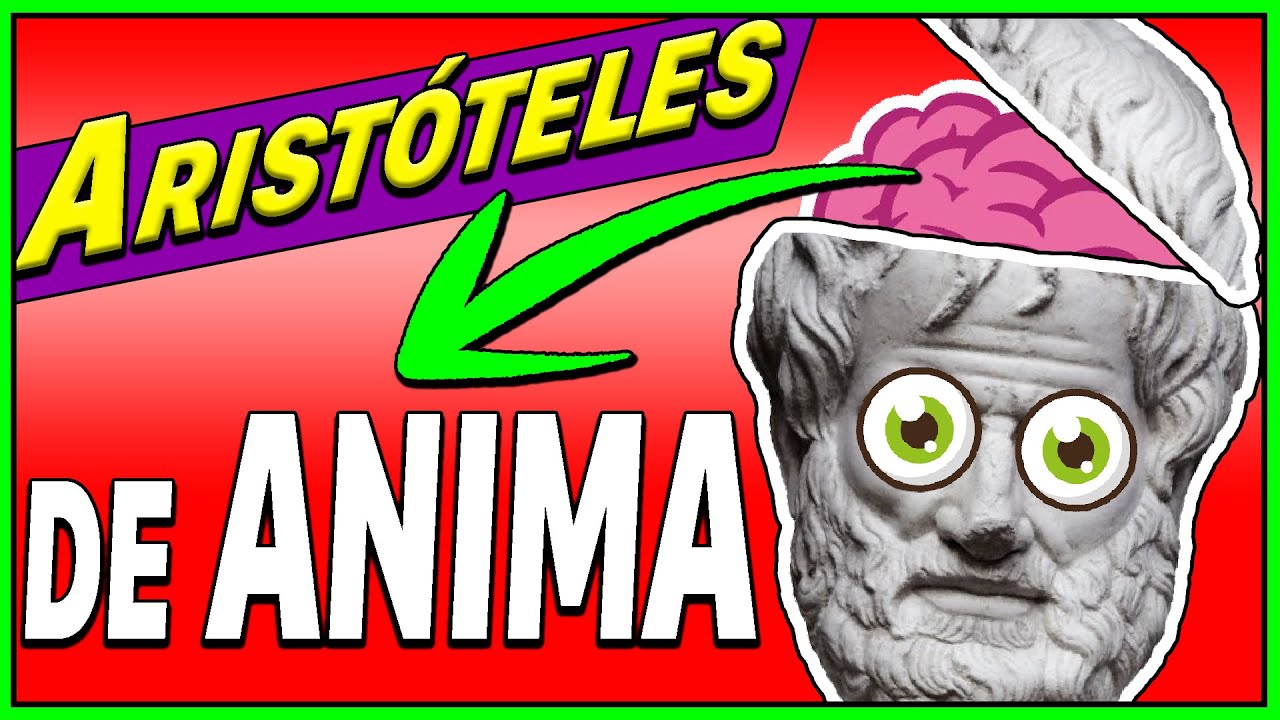 👨‍🏫 Aristóteles - Alma Vegetativa, Animal e Racional | IFPE - YouTube