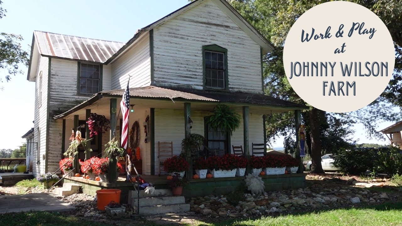 Visit to Johnny Wilson Farm for Fall Decor & Supplies to make a ...