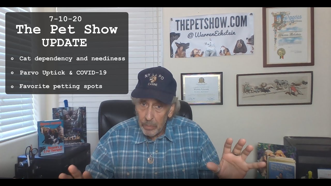 7 10 20 The Pet Show Update - YouTube