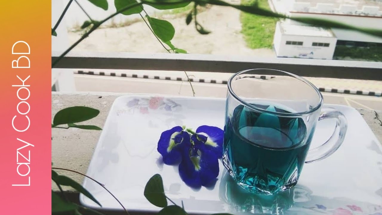 Blue Tea Recipe || Blue Butterfly Pea Flower Tea || Lazy Cook BD - YouTube