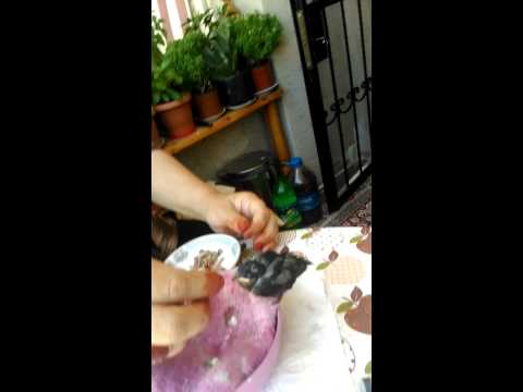 Annesi ölen kirla