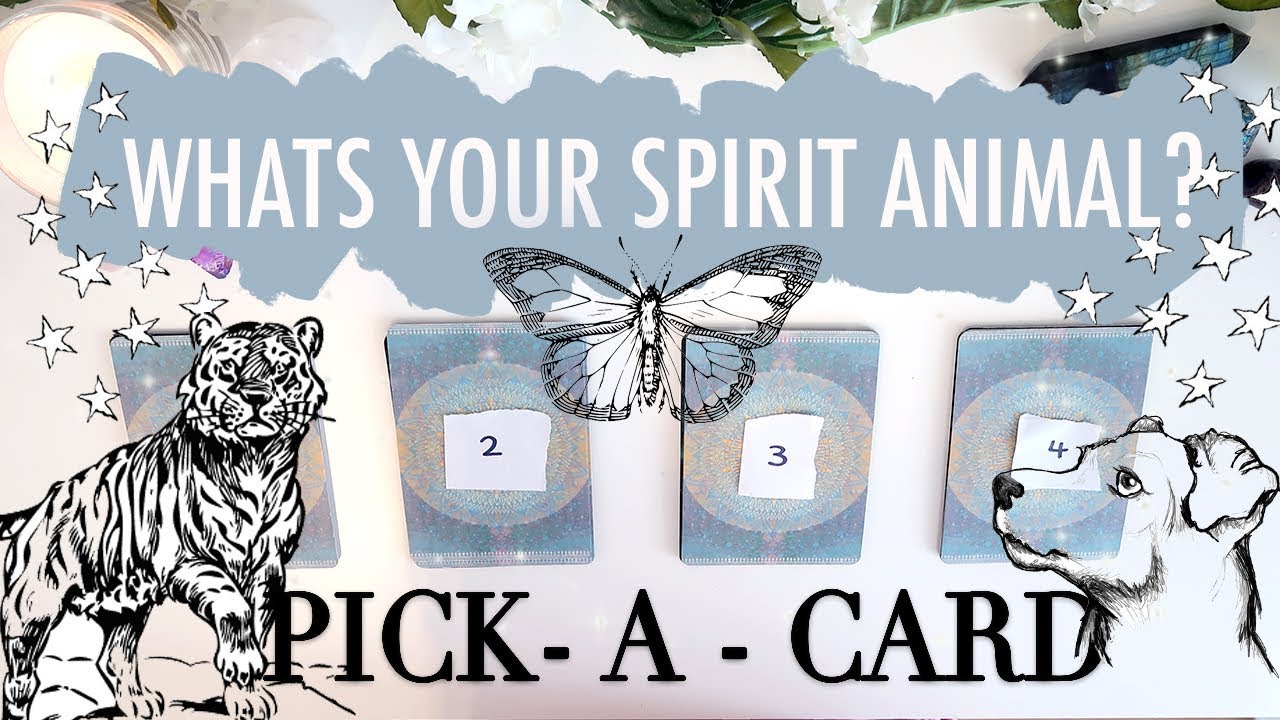 ⭐️🦋PICK A CARD🦋⭐️| WHATS YOUR SPIRIT ANIMAL TRYING TO TELL YOU? - YouTube