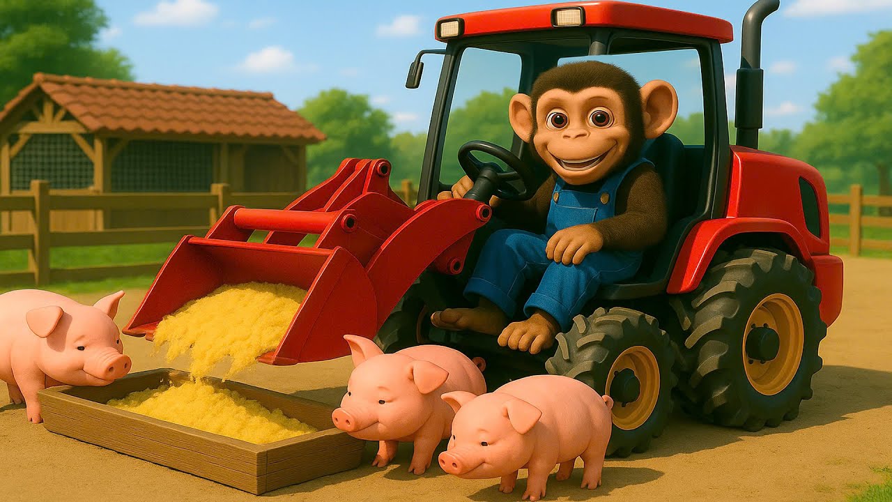 Monkey Farmer Cleans Pig Pen and Process of Grinding Feed for Pigs ...