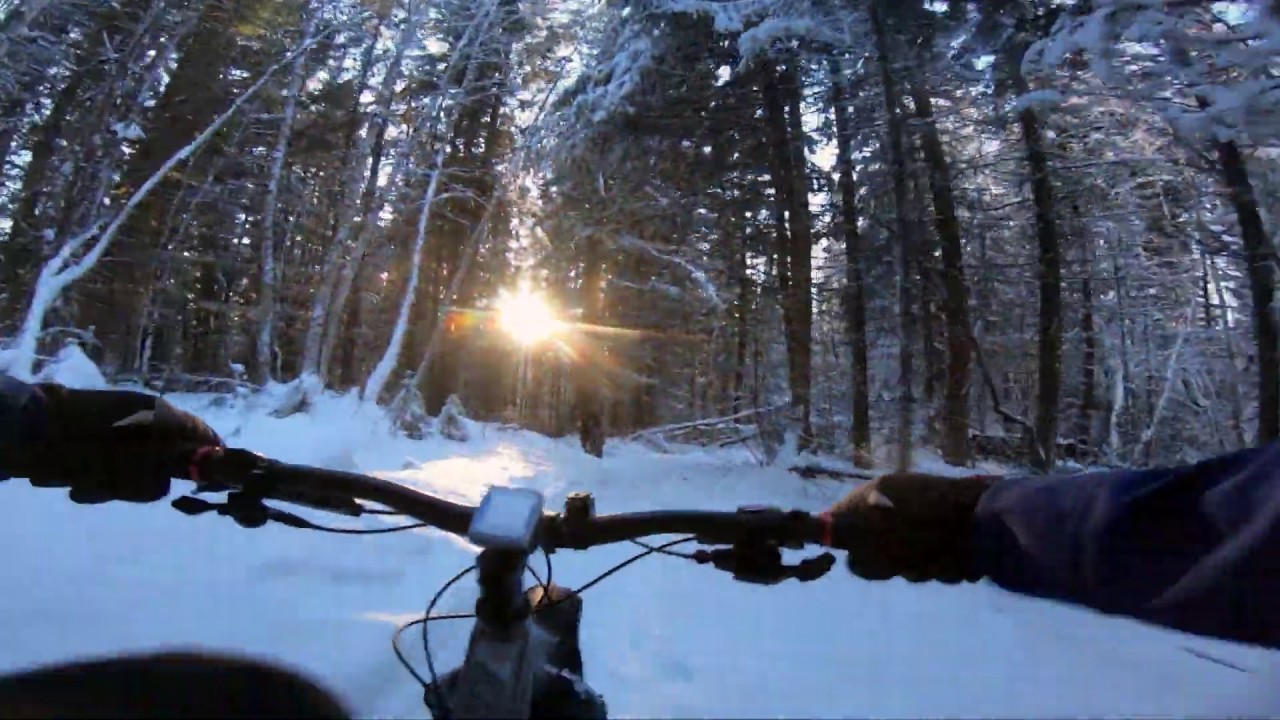 HONEY SHUTTLE-featuring Glen, Pascal, Ken and Diesel. - YouTube