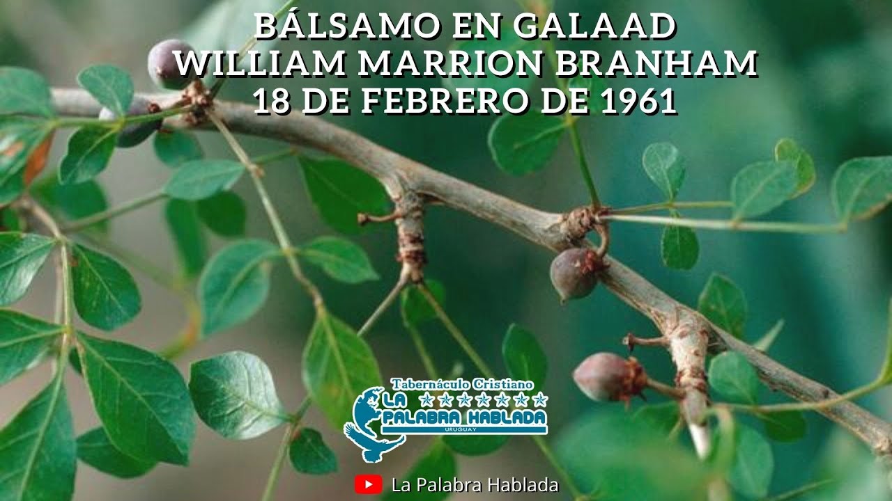 Mensaje: Bálsamo en Galaad - Predicado por el Hno. William Marrion ...