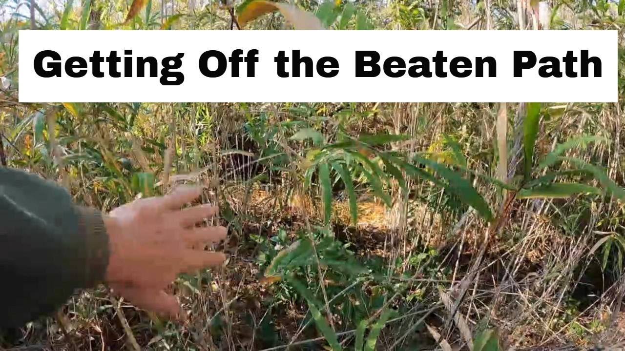 Getting Off the Beaten Path - YouTube