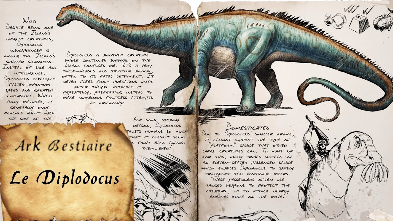 Le Diplodocus - Ark Bestiaire - YouTube