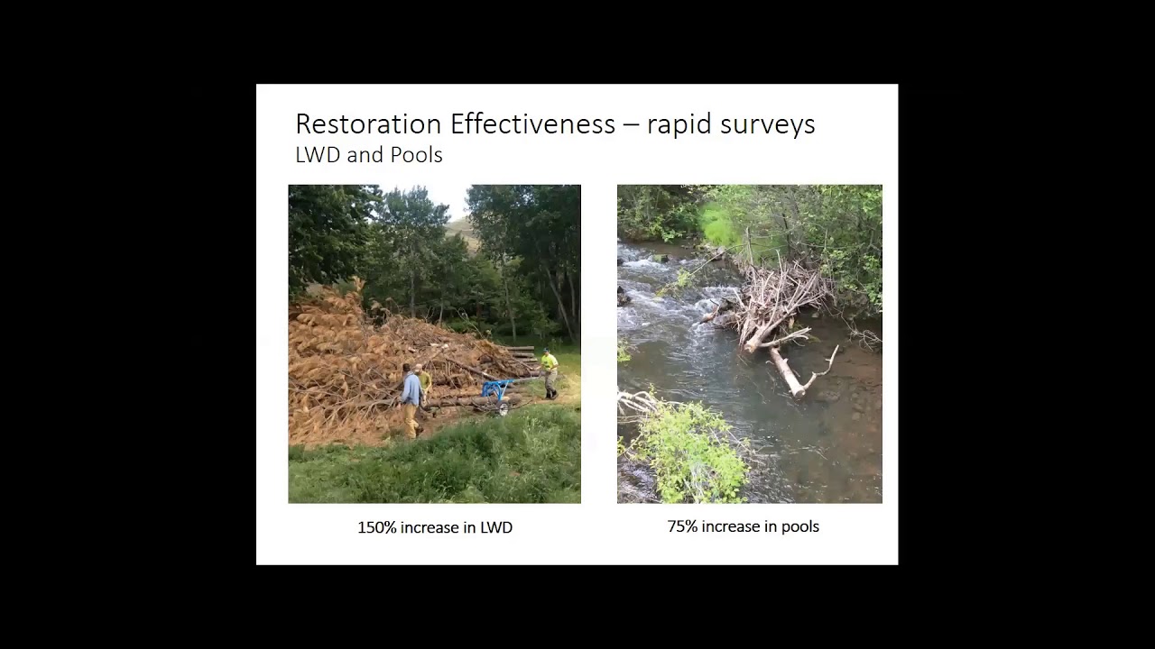 Progress and challenges on testing the effectiveness of process-based ...