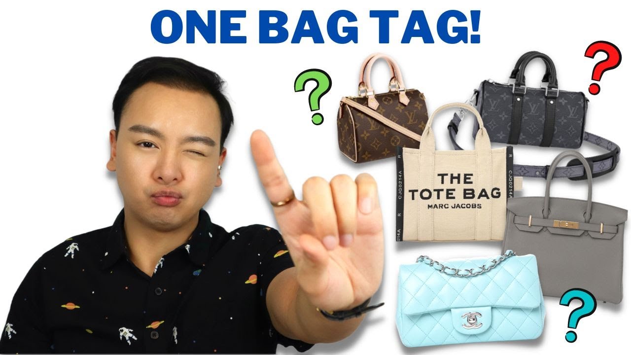 ONE BAG ONLY? One Handbag Tag | 6 Years Wear/Tear Review | Opposhe ...
