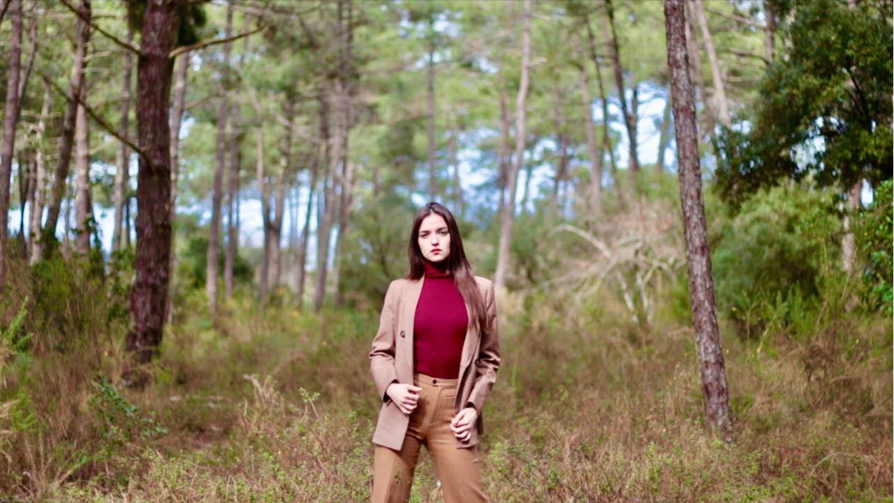 Flocon Le Mal du Pays Official Music Video - YouTube