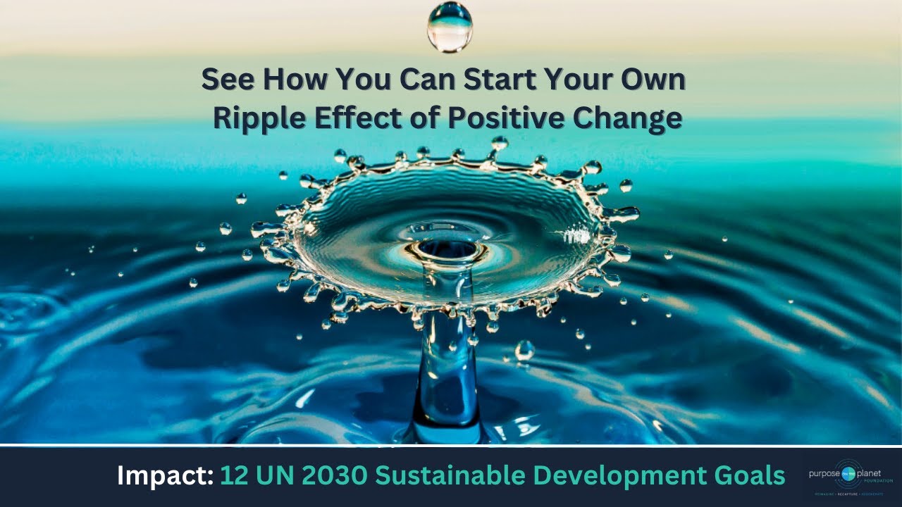 Your Ripple Effect of Positive Change: 12 UN Sustainable Development ...