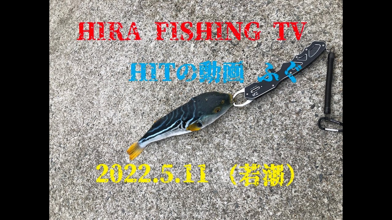 HIRA FISHING TV ショアジギング HITの瞬間 2022.5.11（若潮） - YouTube