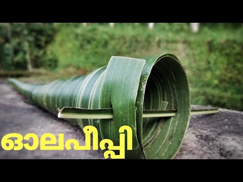 ഓലപ്പീപ്പി | Kerala traditional whistle | coconut leaf whistle | how to make olapeepi