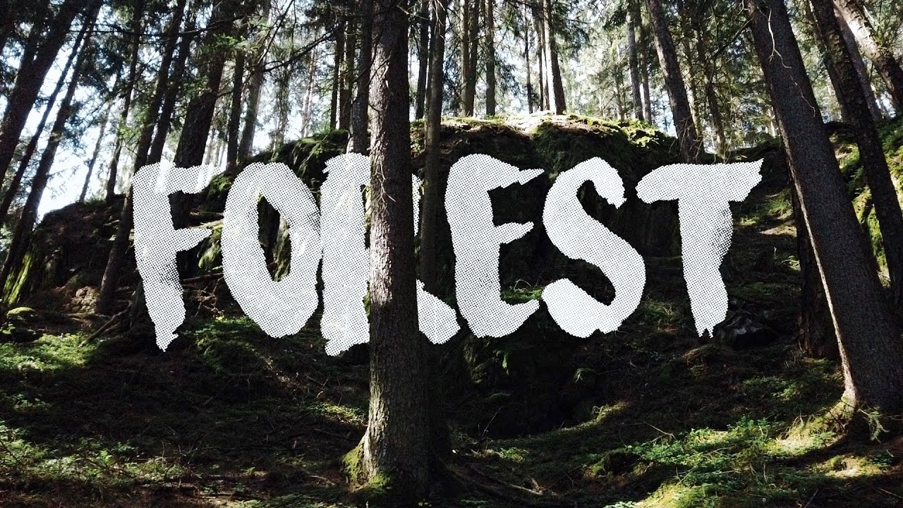 FOREST I Short Video - YouTube