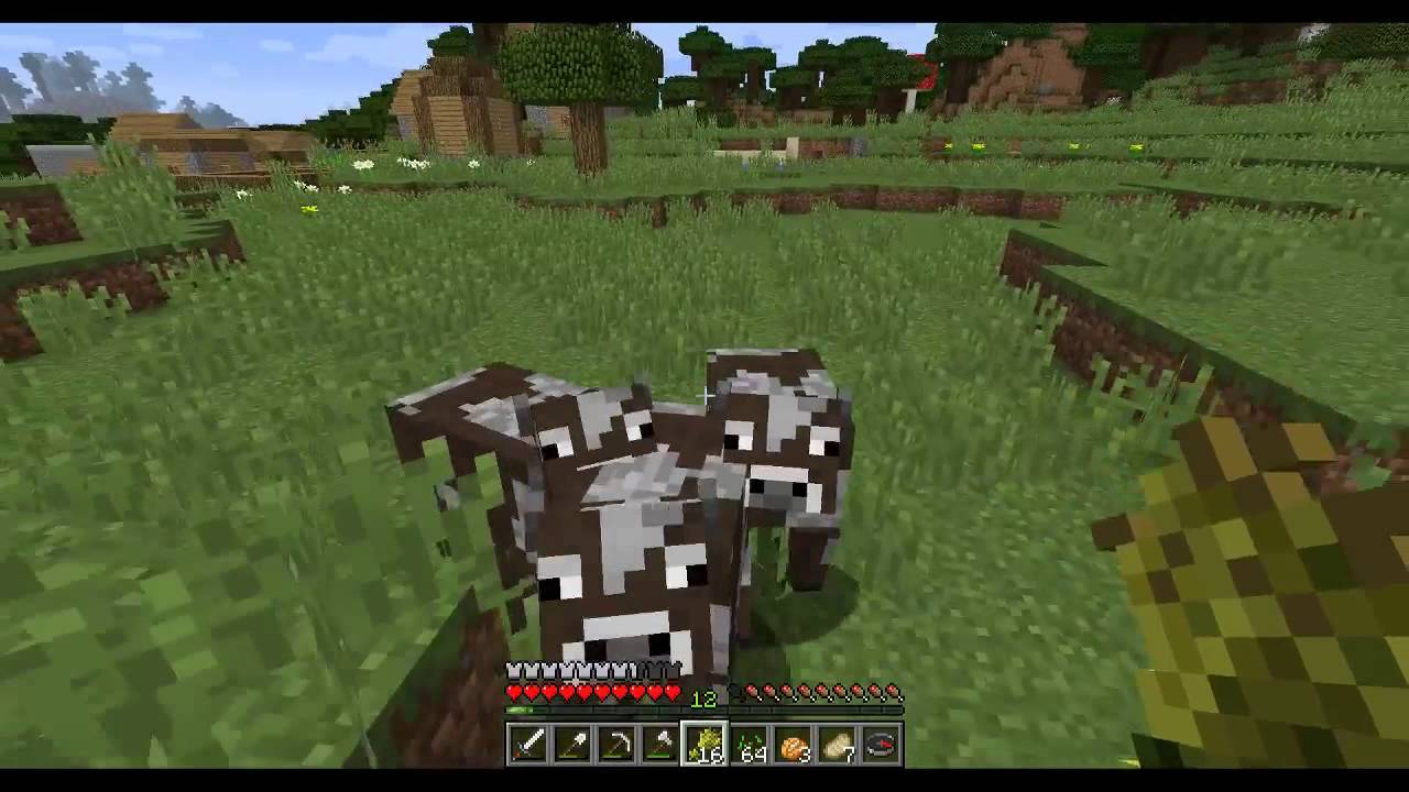 Cow Quest! Minecraft Survival Episode 23 - YouTube