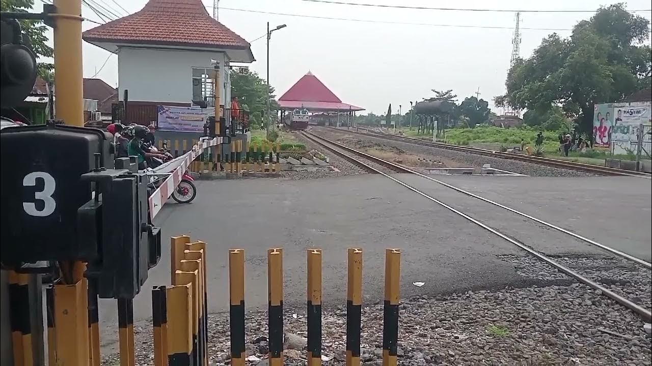 hunting KA Argo wilis - YouTube