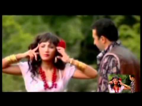 ROYA  DE NIYE