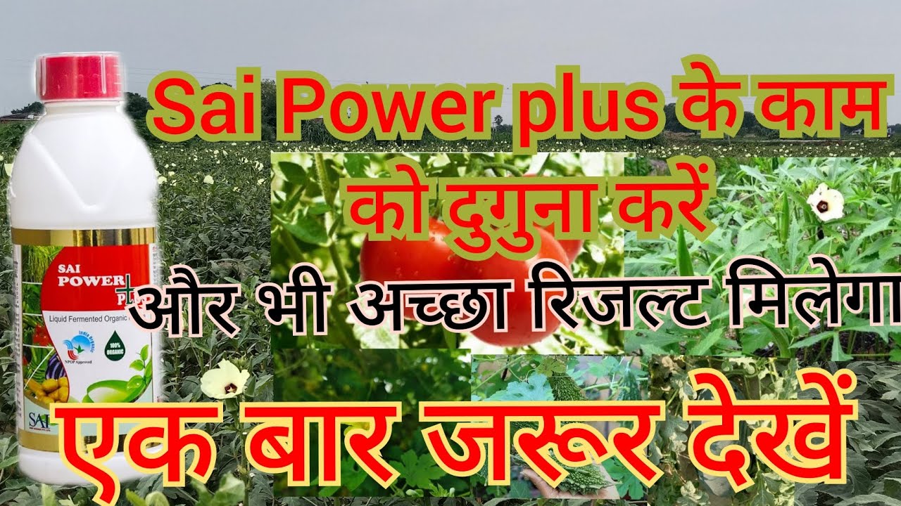Sai Power Plus || काम को दुगना हो जायेगा || मंगलम के साथ | बेस्ट रिजल्ट ...