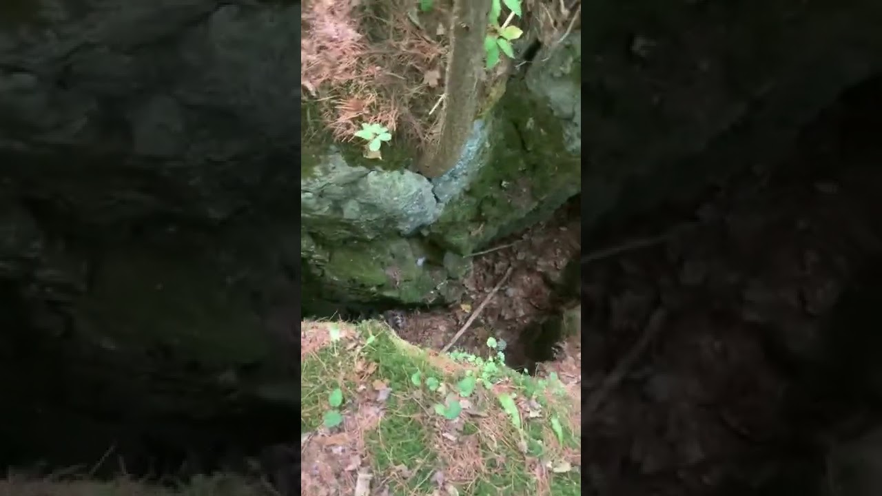 Mystery Valley Michigan Karst Preserve And Wildlife Sanctuary - YouTube