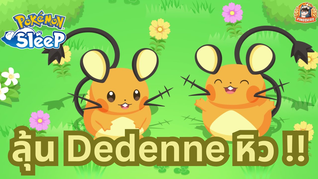 Pokemon Sleep ใช้สูตร Dedenne หิว !! - YouTube