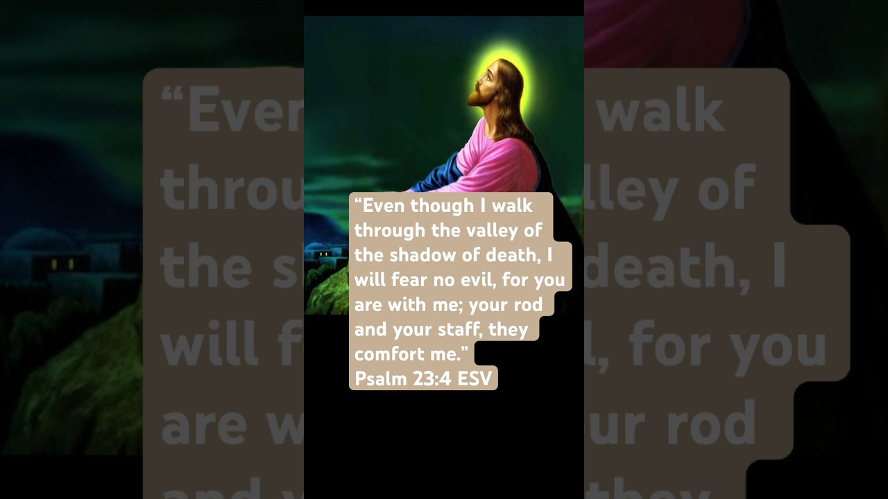 Psalm‬ ‭23‬:‭4‬ ‭”Even though I walk through the valley of the shadow ...