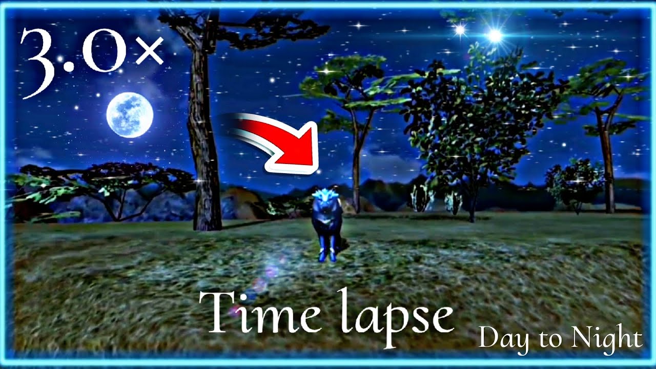 The wolf - Time lapse From Day to night 🌆 - YouTube